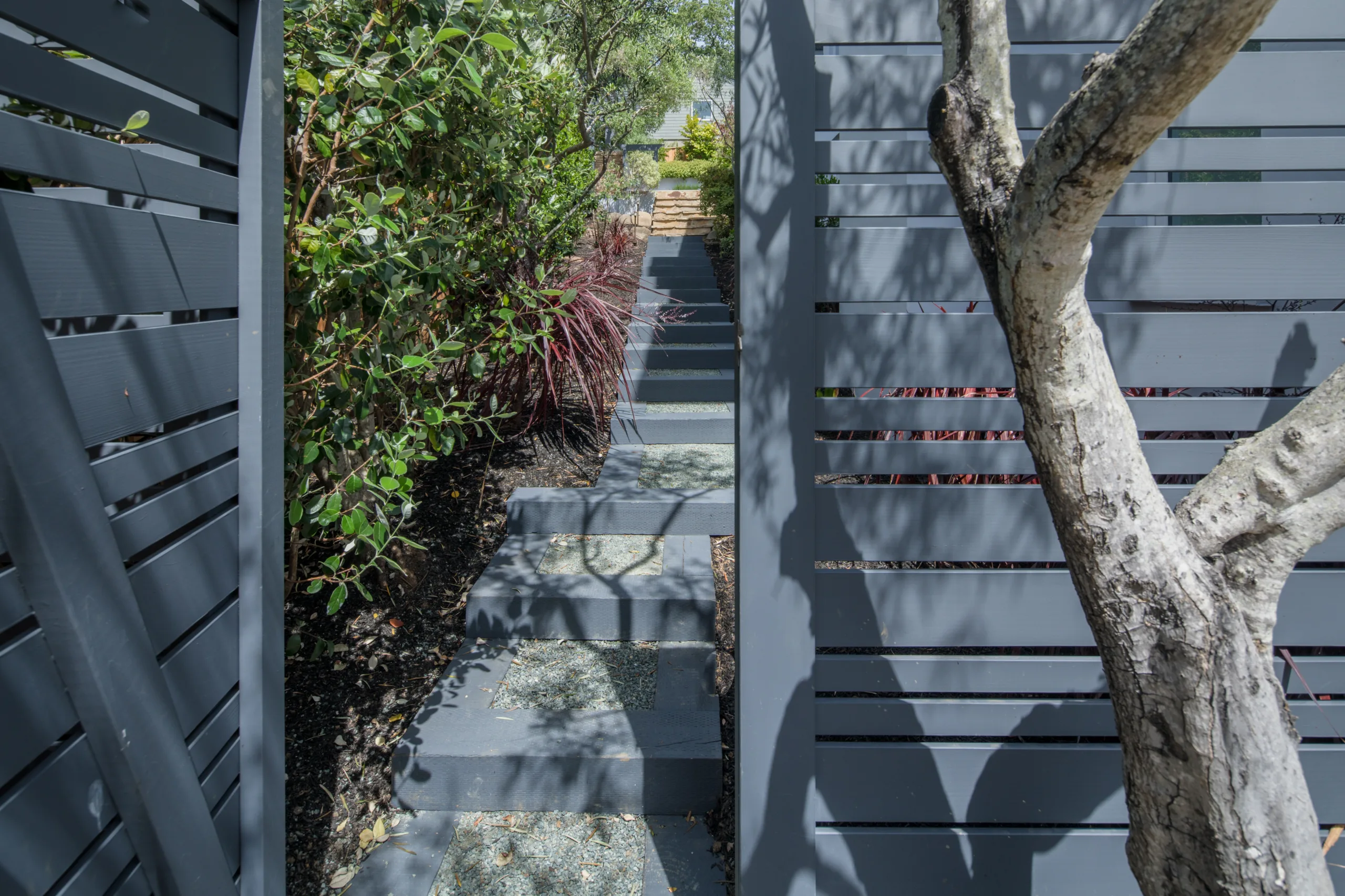 View our Portfolio to See Our Recent Projects in San Rafael